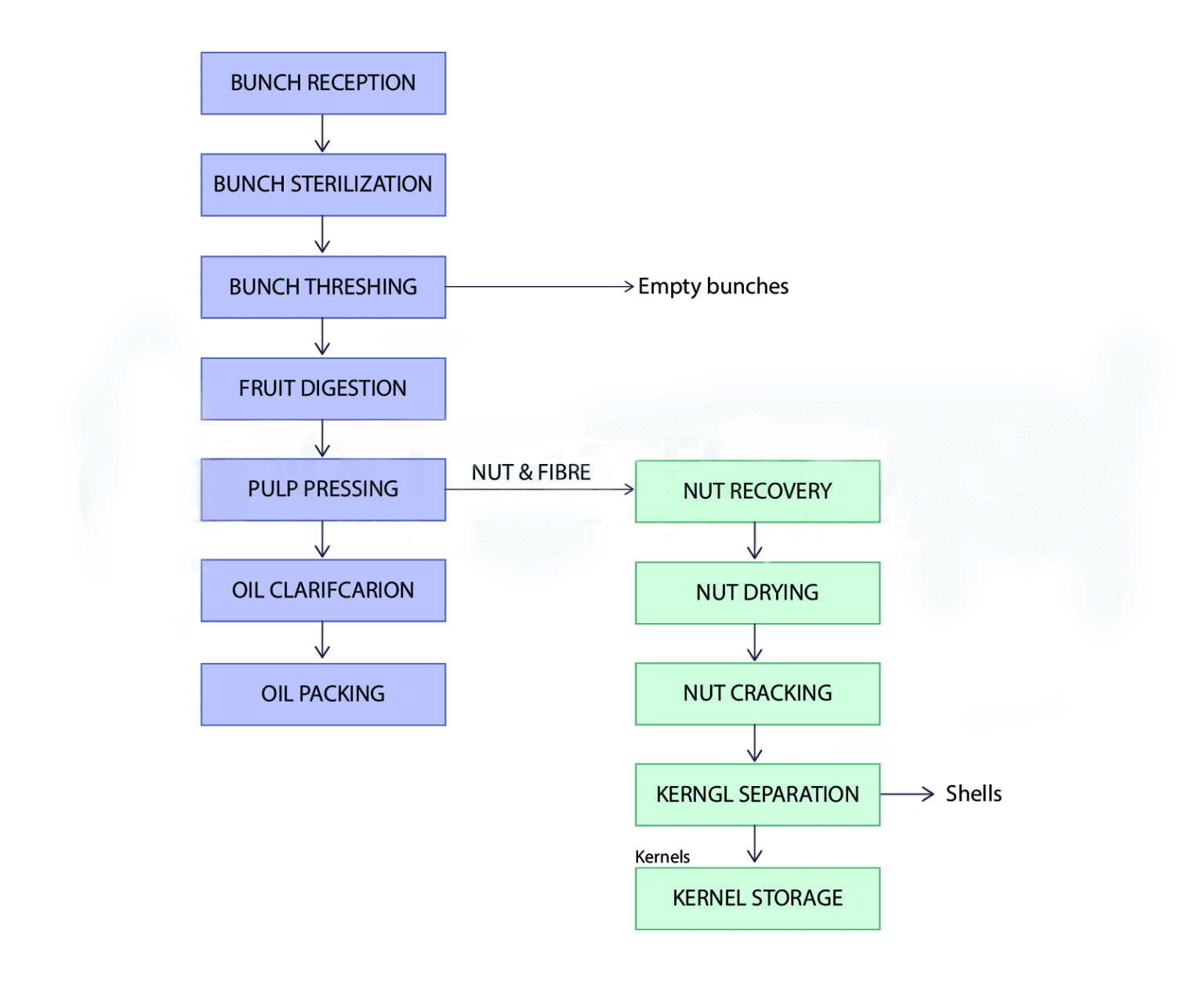 The Ultimate Guide to the Palm Oil Production Process - QIE Machinery
