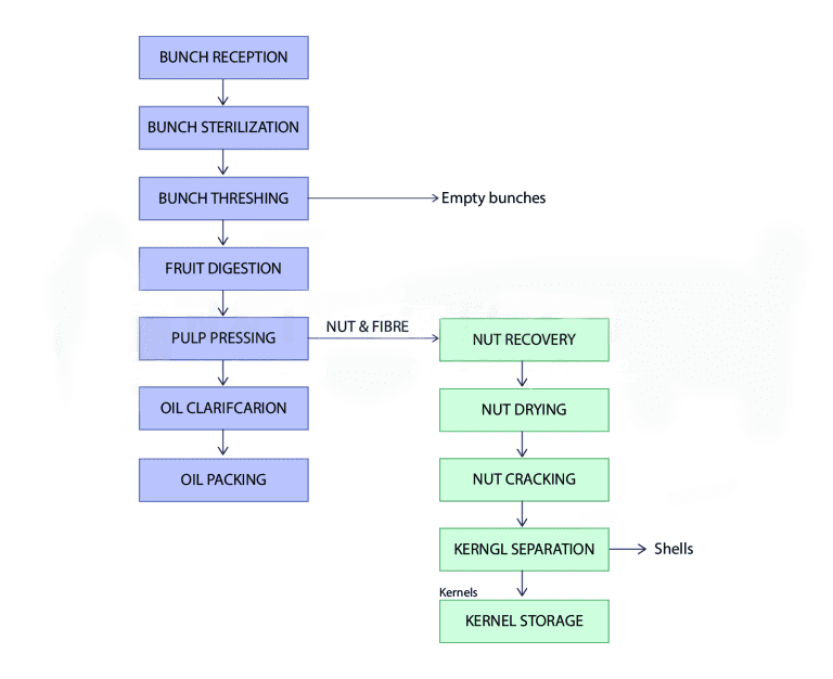 The Ultimate Guide to the Palm Oil Production Process - QIE Machinery