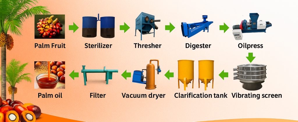 How to Set Up a Small Palm Oil Mill Plant?